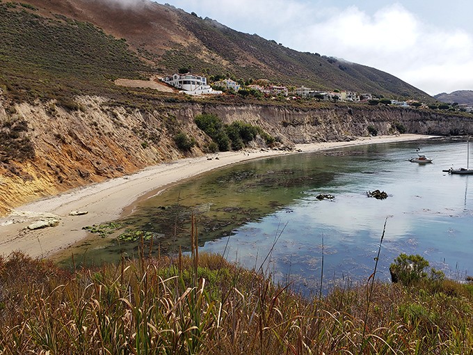 Nature's perfect viewpoint! The trail reveals Pirate's Cove below, where that impossibly blue water meets golden sand in a California dream come true.