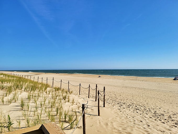Golden sands meet azure waters in perfect harmony. Mother Nature showing off her color coordination skills at Delaware's most photogenic shoreline.