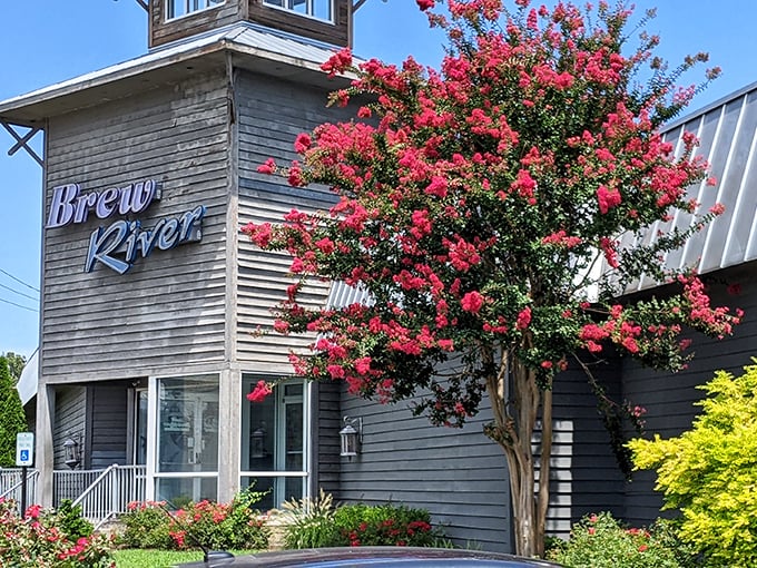Brew River's weathered gray exterior with vibrant crape myrtle blooms creates the perfect first impression&mdash;nature's red carpet welcoming you to Eastern Shore dining excellence.