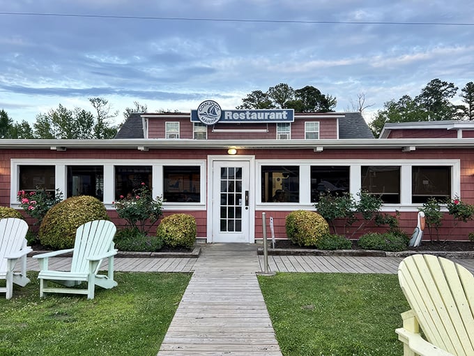 The unassuming pink exterior of Coinjock Marina Restaurant belies the culinary treasure within. Adirondack chairs invite weary travelers to pause before the feast begins.