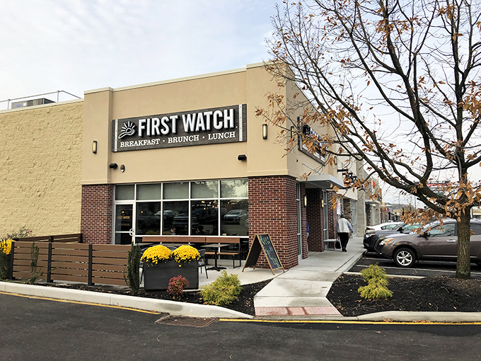 First Watch's inviting exterior promises morning magic within its walls, where breakfast dreams come true regardless of the season.