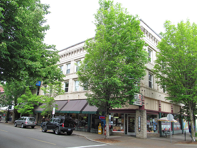 Historic charm meets small-town magic on McMinnville's tree-lined streets, where brick buildings house treasures waiting to be discovered.