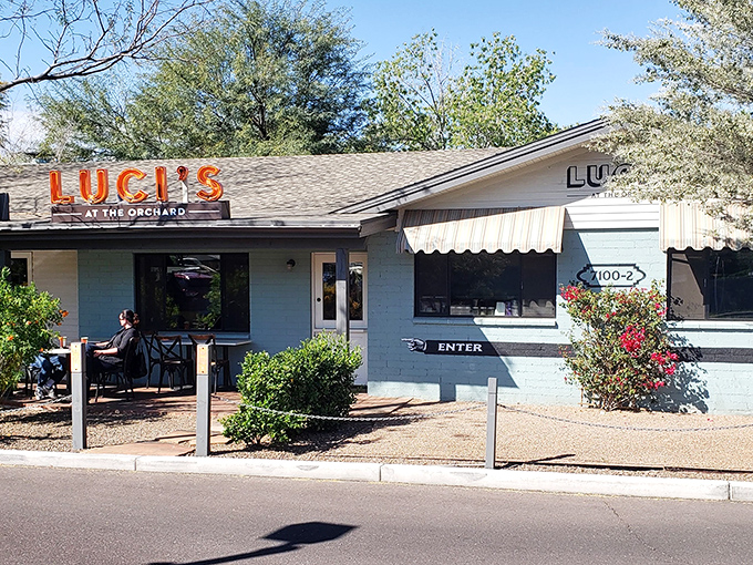 Luci's welcoming exterior feels like that moment when you discover your favorite aunt has been hiding her cooking talents all along.