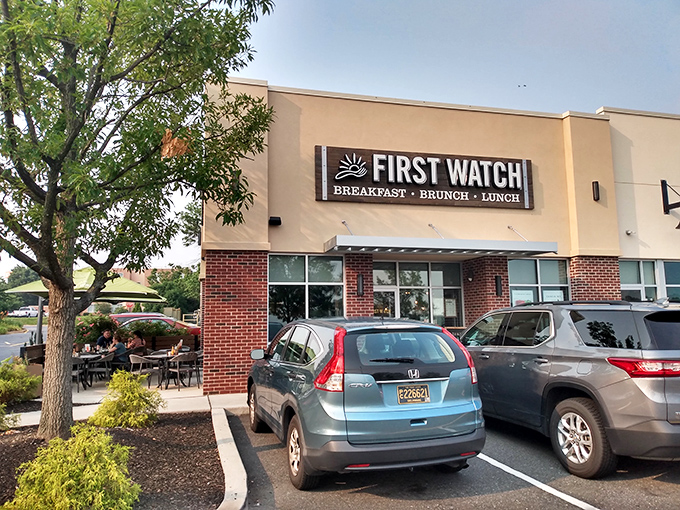 First Watch's inviting exterior promises morning magic within its walls, where breakfast dreams come true regardless of the season.