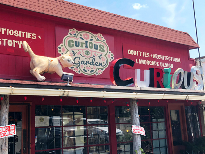 The vibrant red exterior of Curiosities stands out like a beacon of eccentricity, promising treasures that would make any collector's heart skip a beat.