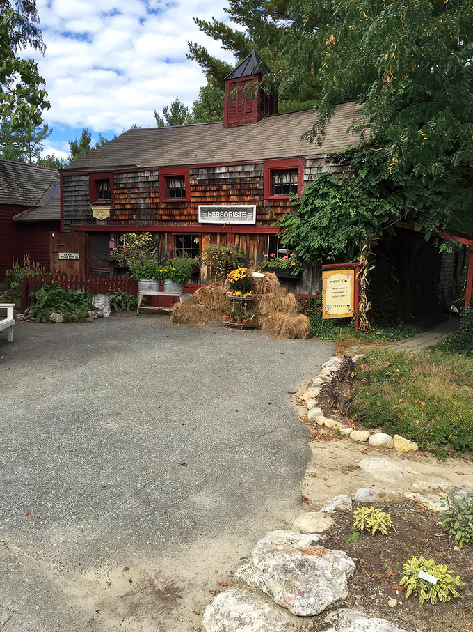 This storybook cottage isn't just charming—it's the actual inspiration for "Little Red Riding Hood" illustrations. Grandma's house never looked so inviting!