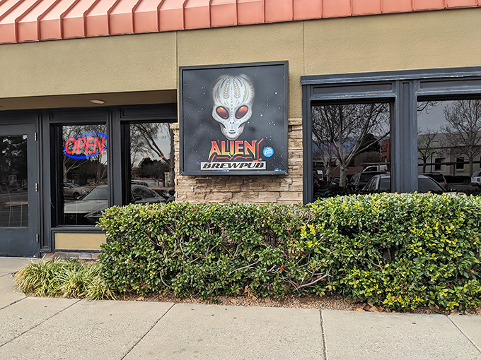That face says it all &ndash; Alien Brewpub's striking exterior sign welcomes earthlings and possible extraterrestrials alike to this uniquely themed Albuquerque hotspot.