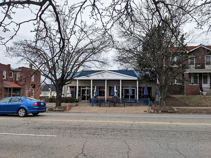 A Mediterranean oasis awaits behind leafy sentinels. Olympia's inviting blue-and-white patio beckons passersby to escape the Missouri heat for a Grecian retreat. 