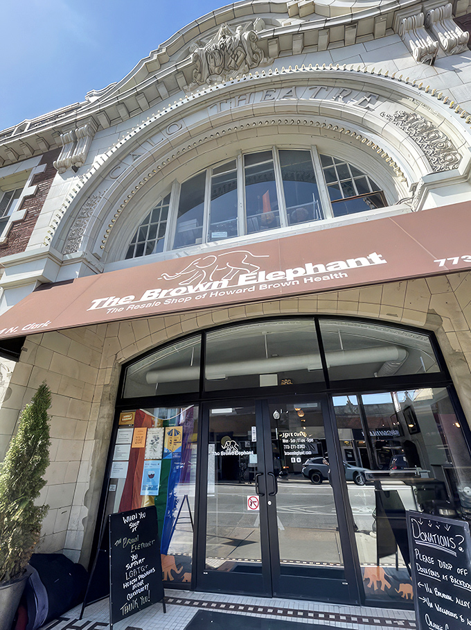 The grand architectural façade of The Brown Elephant stands proudly on Clark Street, like a palace dedicated to the art of secondhand treasures.
