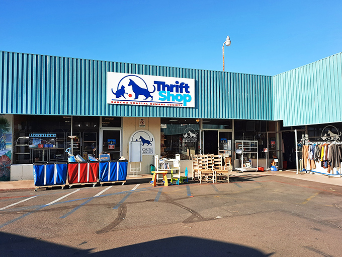 That turquoise facade isn't just eye-catching&mdash;it's a beacon for bargain hunters and animal lovers alike. The perfect California combo: thrifting with purpose. 