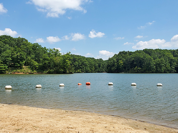 Paradise found! The sandy shores of Village Creek State Park offer a beach experience so unexpected in Arkansas, you'll wonder if you took a wrong turn at Albuquerque.
