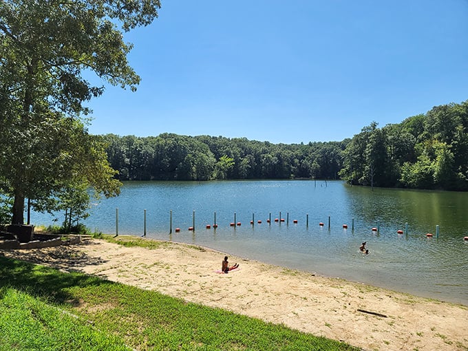 Paradise found! The sandy shores of Village Creek State Park offer a beach experience so unexpected in Arkansas, you'll wonder if you took a wrong turn at Albuquerque.