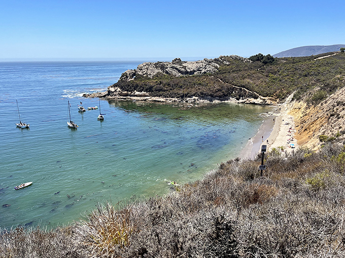 Nature's perfect viewpoint! The trail reveals Pirate's Cove below, where that impossibly blue water meets golden sand in a California dream come true.