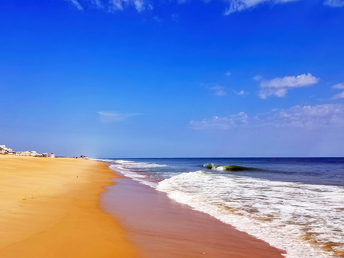 Golden sands meet azure waters in perfect harmony. Mother Nature showing off her color coordination skills at Delaware's most photogenic shoreline.