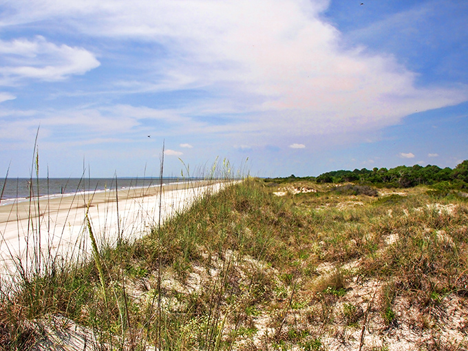 Aerial paradise where land meets sea. Sapelo Island's untouched coastline stretches before you like nature's welcome mat, inviting exploration and quiet contemplation.