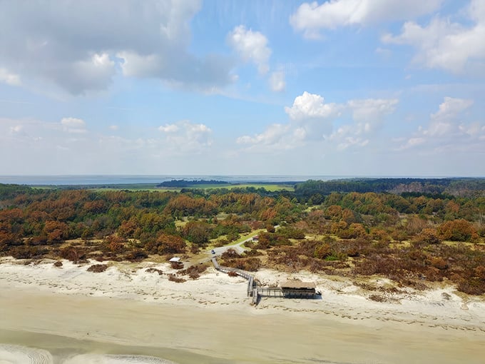 Aerial paradise where land meets sea. Sapelo Island's untouched coastline stretches before you like nature's welcome mat, inviting exploration and quiet contemplation.