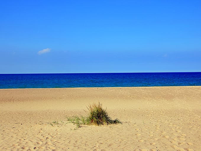 Where the sky meets water in perfect harmony. Lake Michigan's azure waters create a Caribbean-like mirage that makes you forget you're in Indiana.