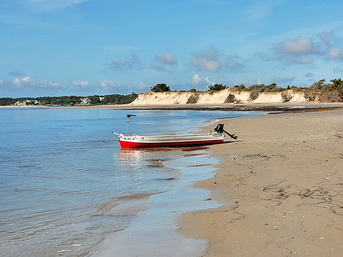 Where land meets water in perfect harmony &ndash; Masonboro's pristine marshlands offer a tranquil escape from civilization, just a short boat ride from Wilmington.