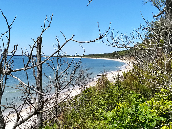 Miles of untouched shoreline stretch before you, where tire tracks in the sand are the closest thing to rush hour traffic you'll find.