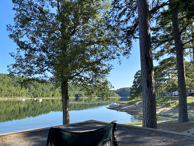 Nature's perfect frame! Tall pines stand sentinel around crystal-clear waters, offering a glimpse of what paradise must look like on a sunny Arkansas afternoon.