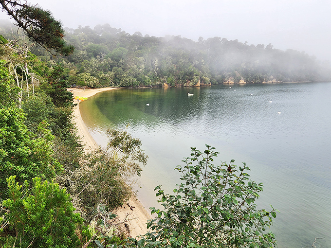 Heaven meets earth at Heart's Desire Beach, where golden sands kiss the calm waters of Tomales Bay. Nature's perfect postcard moment awaits.