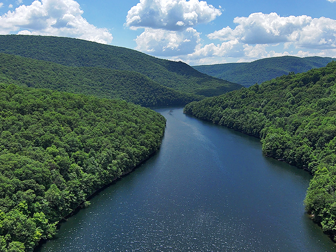 The Savage River Reservoir sparkles like nature's disco ball, surrounded by Maryland's western mountains in a scene worthy of a national park brochure.