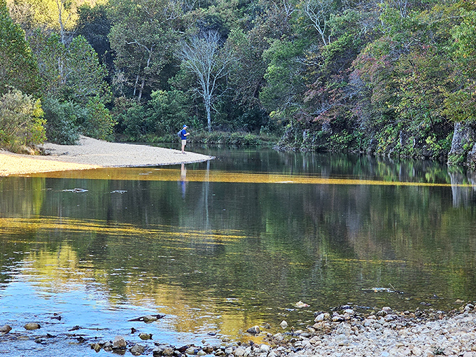 The towering limestone face of Echo Bluff stands like nature's skyscraper, reflecting millions of years of geological patience. Crystal-clear Sinking Creek invites you to wade in its refreshing embrace.