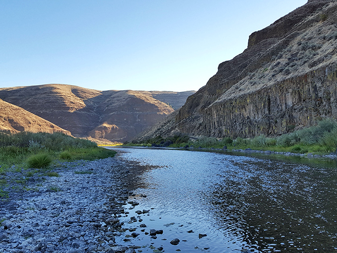 The John Day River carves its masterpiece through golden hills, creating a landscape that whispers "slow down and stay awhile."