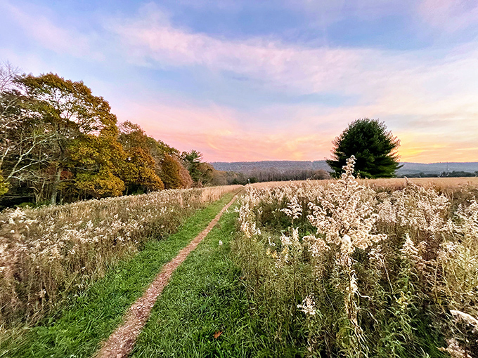 Swatara Creek catches the day's final golden light, offering a moment of pure tranquility that no Instagram filter could ever improve upon.
