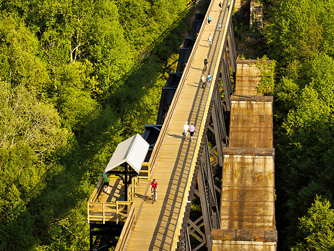 The wooden pathway stretches toward infinity, inviting you to walk among the treetops like some kind of casual, non-spandex-wearing superhero.