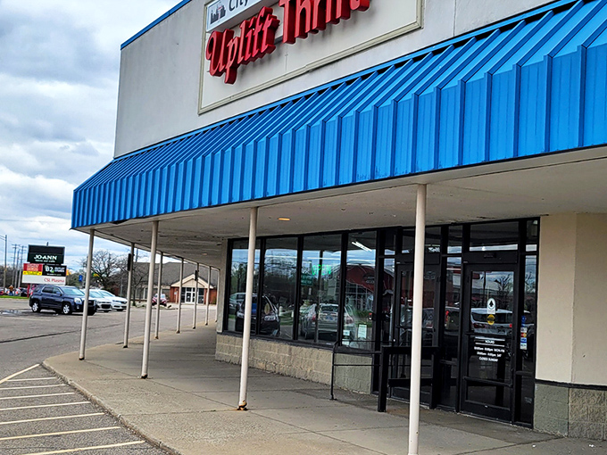 That iconic blue awning signals treasure-hunting territory ahead. Like a retail oasis in Lansing's shopping landscape.
