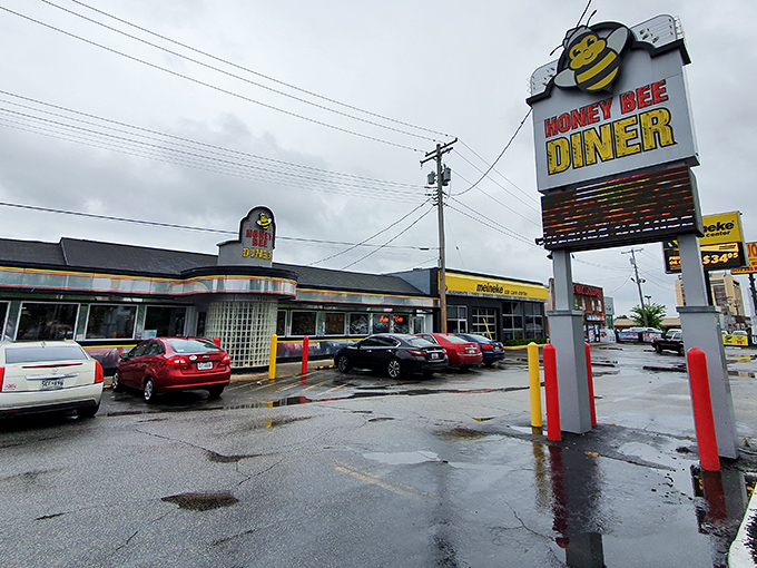The cheerful cartoon bee sign beckons hungry travelers like a lighthouse for the famished. Even on rainy days, this Glen Burnie landmark promises comfort inside.