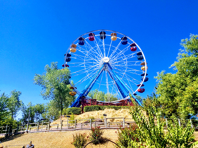 A bird's-eye view reveals Frontier City's wooden roller coaster snaking through lush greenery, proving thrills and nature can coexist beautifully in Oklahoma City.