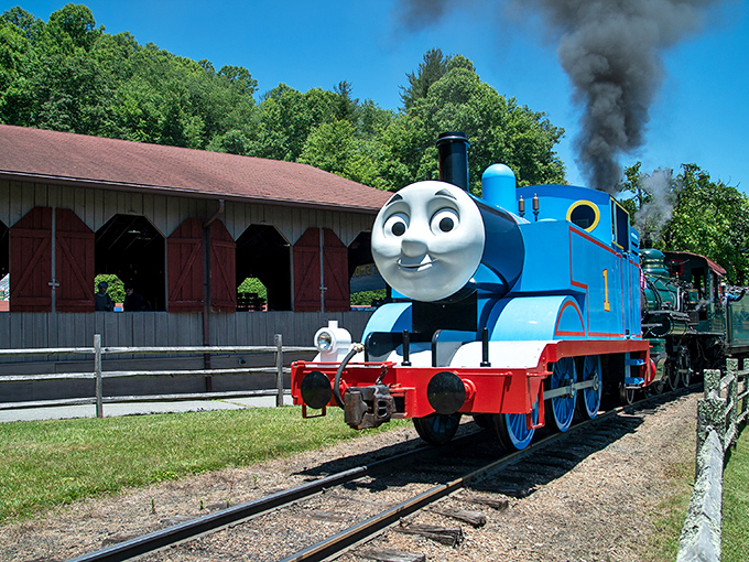 Colorful carousels and carnival rides dot the landscape at Tweetsie, where the Blue Ridge Mountains provide a stunning natural backdrop for old-fashioned fun.