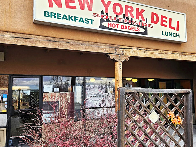 The unassuming storefront promises "HOT BAGELS" like a whispered secret between New Yorkers. This little slice of the Big Apple in Santa Fe is worth seeking out.