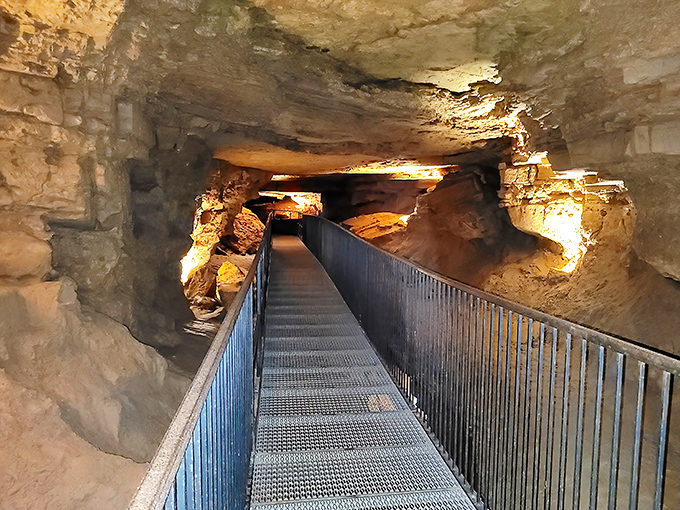 The underground boat ride glides through chambers that have been sculpting themselves since before humans invented the wheel. Mother Nature's patience pays off spectacularly.