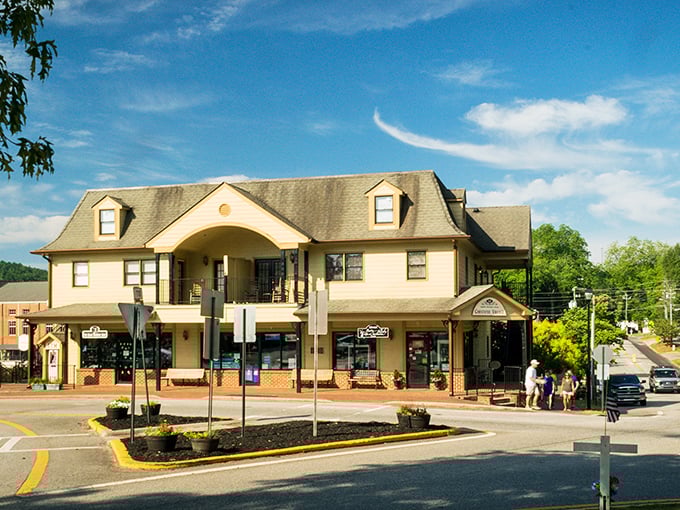 Vintage lampposts line Dahlonega's streets like sentinels of a bygone era, guiding visitors through this charming mountain town where time seems to slow down.