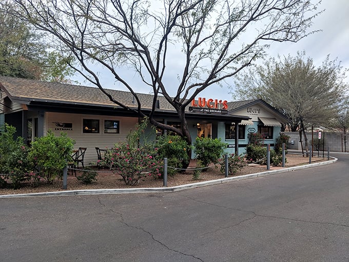 Luci's welcoming exterior feels like that moment when you discover your favorite aunt has been hiding her cooking talents all along.