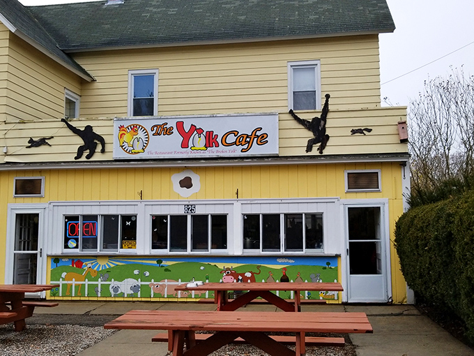 The sunshine-yellow exterior of The Yolk Cafe practically screams "happiness served here!" Those playful monkey silhouettes add a touch of whimsy to your breakfast adventure.