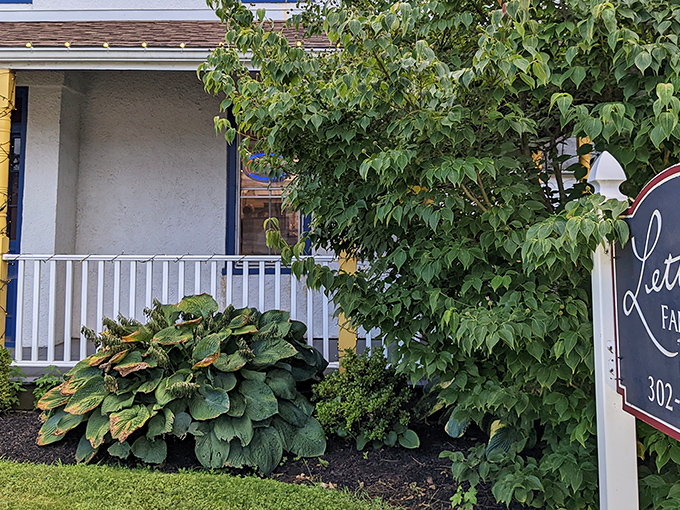 The white farmhouse with blue trim and wrap-around porch isn't trying to be fancy, but that rooster sign is basically saying "chicken paradise ahead!"