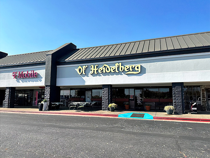 The glowing yellow sign of Ol' Heidelberg beckons like a beacon of Bavarian bliss in this unassuming Huntsville strip mall. German comfort awaits inside!