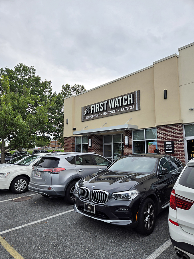 First Watch's inviting exterior promises morning magic within its walls, where breakfast dreams come true regardless of the season.