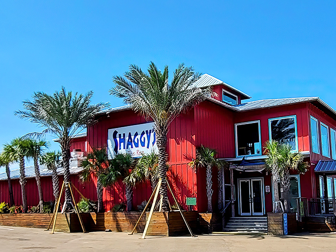 The vibrant red exterior of Shaggy's stands out like a cheerful beacon, promising coastal delights with palm trees that whisper, "Vacation starts here."