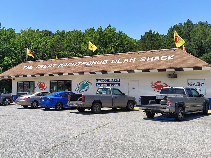 Yellow flags flutter like culinary beacons above this unassuming roadside treasure. The gravel parking lot filled with pickup trucks tells you everything you need to know.