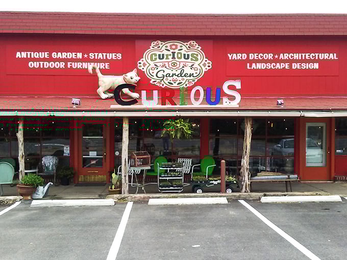 The vibrant red exterior of Curiosities stands out like a beacon of eccentricity, promising treasures that would make any collector's heart skip a beat.