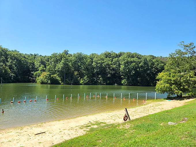 Paradise found! The sandy shores of Village Creek State Park offer a beach experience so unexpected in Arkansas, you'll wonder if you took a wrong turn at Albuquerque.
