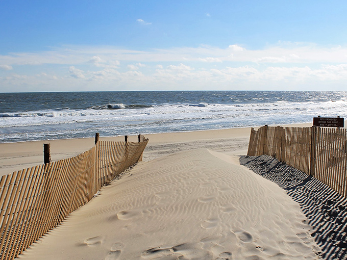 Golden sands meet azure waters in perfect harmony. Mother Nature showing off her color coordination skills at Delaware's most photogenic shoreline.