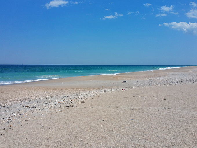 Where land meets water in perfect harmony &ndash; Masonboro's pristine marshlands offer a tranquil escape from civilization, just a short boat ride from Wilmington.