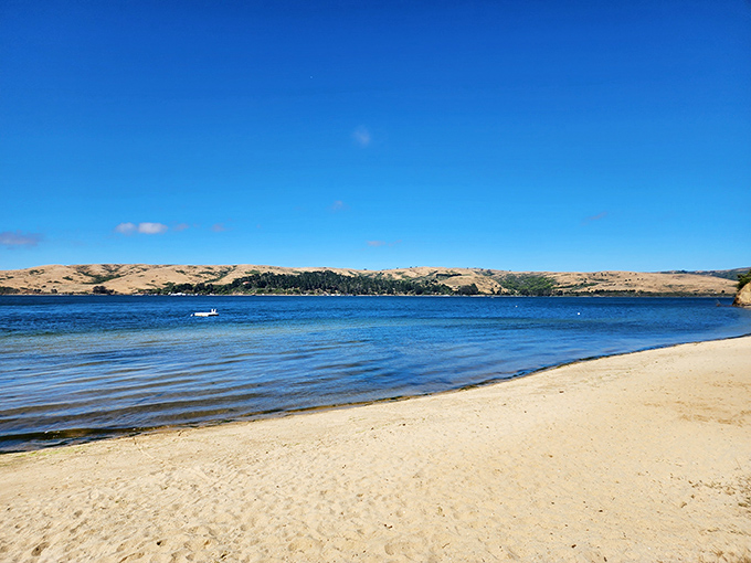 Heaven meets earth at Heart's Desire Beach, where golden sands kiss the calm waters of Tomales Bay. Nature's perfect postcard moment awaits.