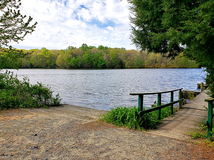 The millpond's glassy surface perfectly mirrors the sky above, creating nature's own infinity pool in the heart of Delaware.
